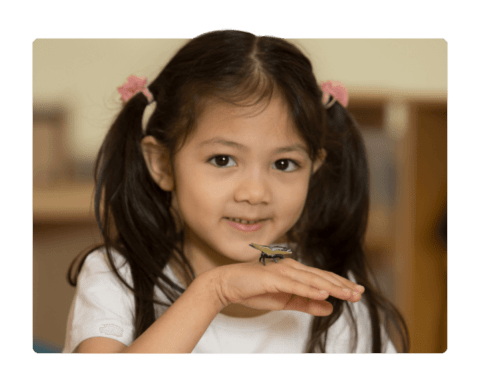 Private Kindergarten Program | Lightbridge Academy CORP
